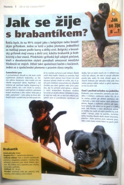 O plemeni :: ☆ BRABANTÍK