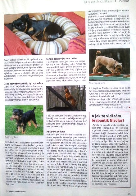 O plemeni :: ☆ BRABANTÍK